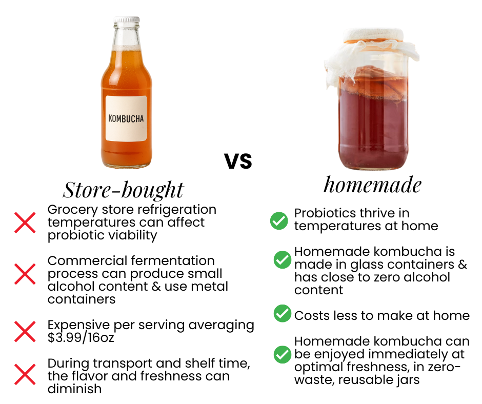 Ferment Pro | At-Home Fermentation Device | DIY Fermentation – FermentPro